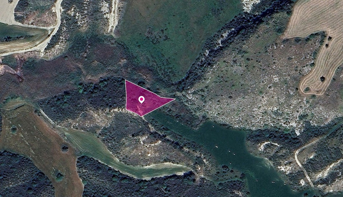 Steni, Paphos Agricultural Land For Sale | DT1269